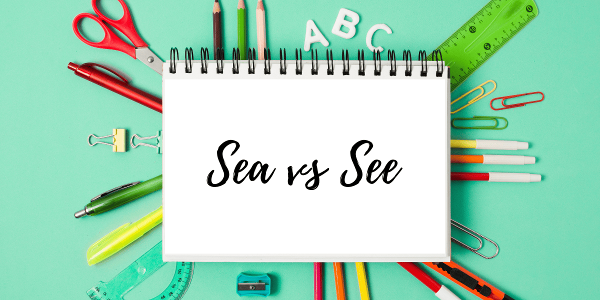 Sea vs See: What’s the Difference & How to Use Them
